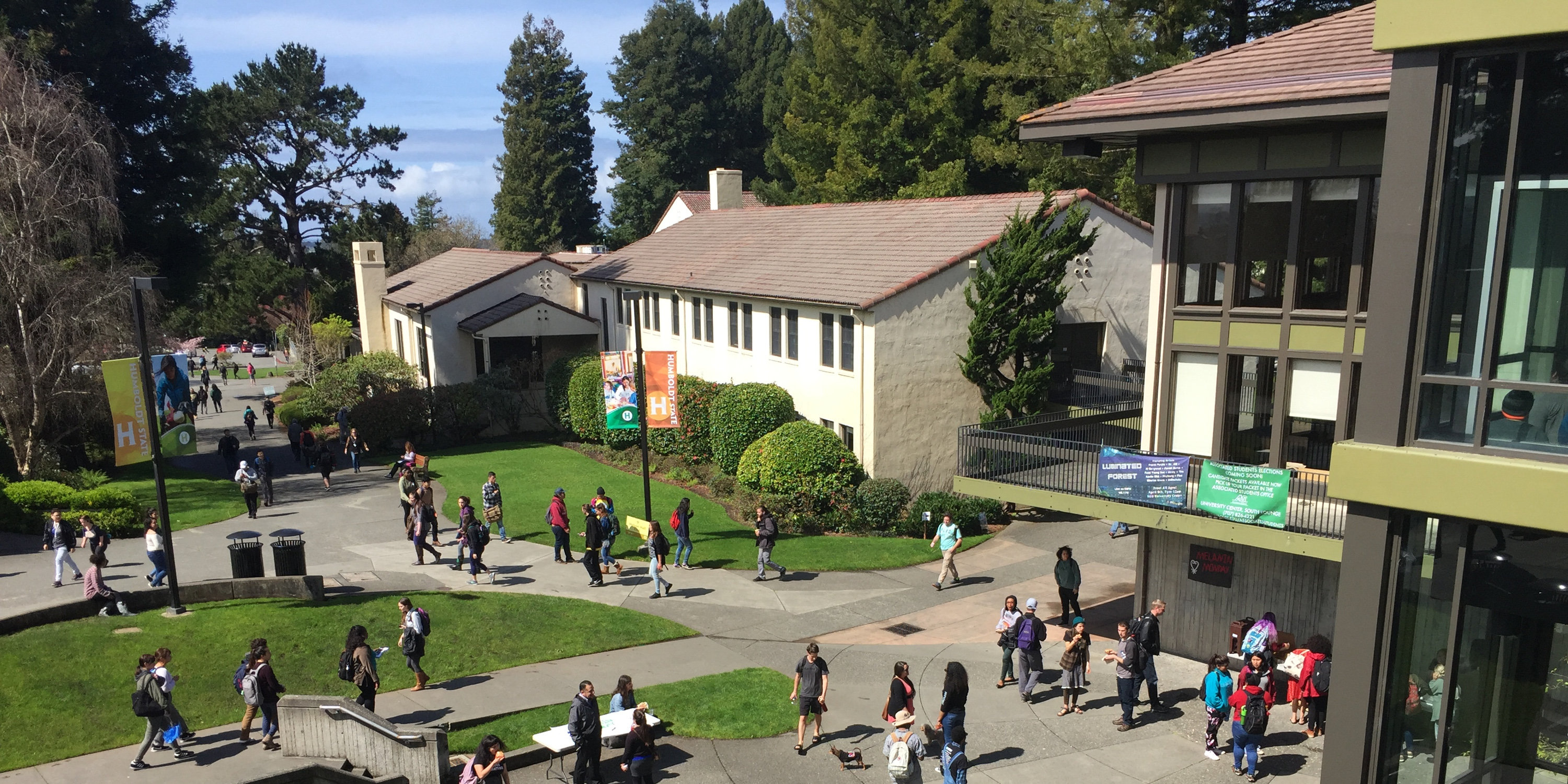 Top reasons to study at NMIT | NMIT