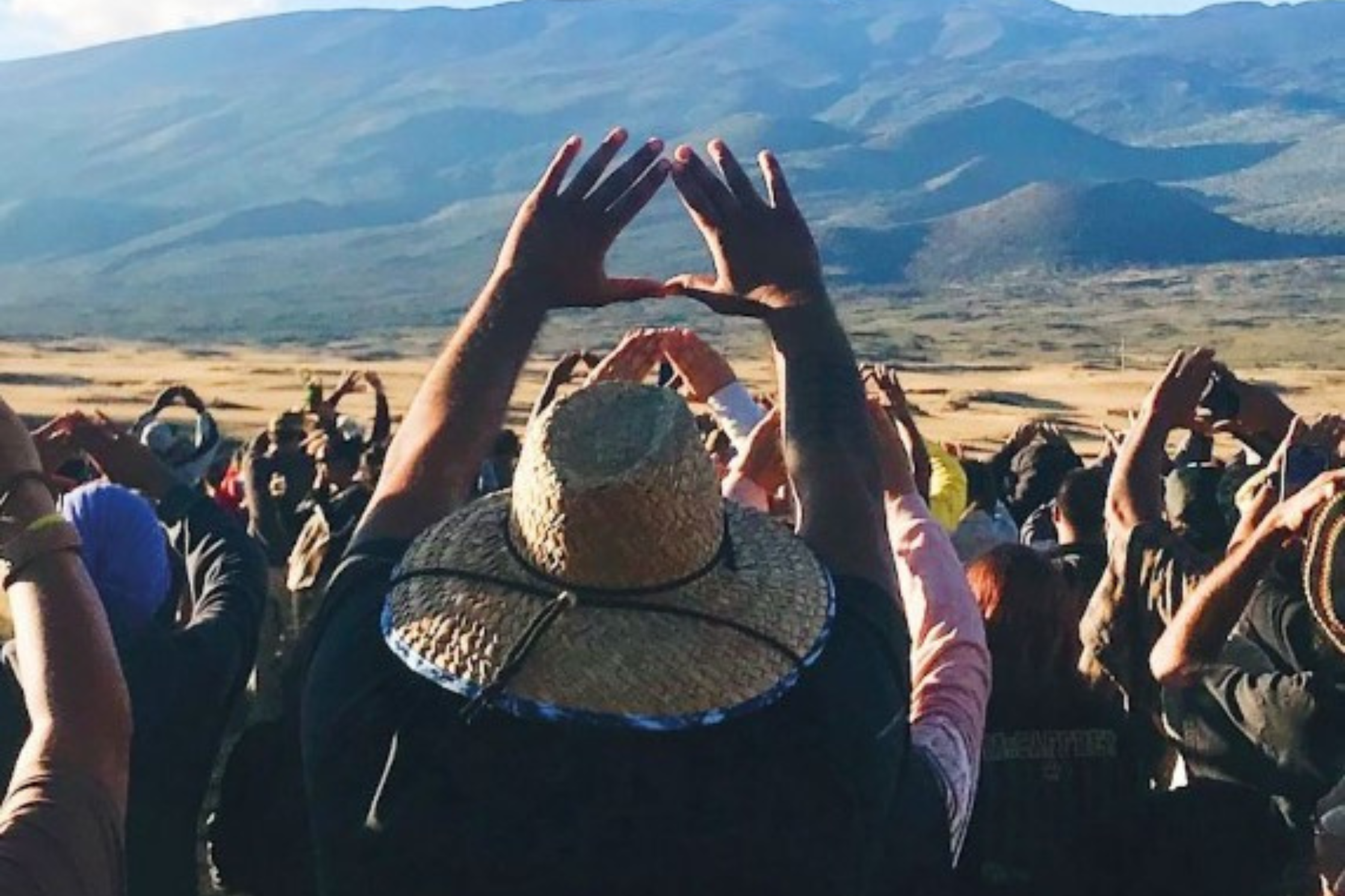 AlterNative: an international journal of indigenous peoples | Nelson Marlborough Institute of ...