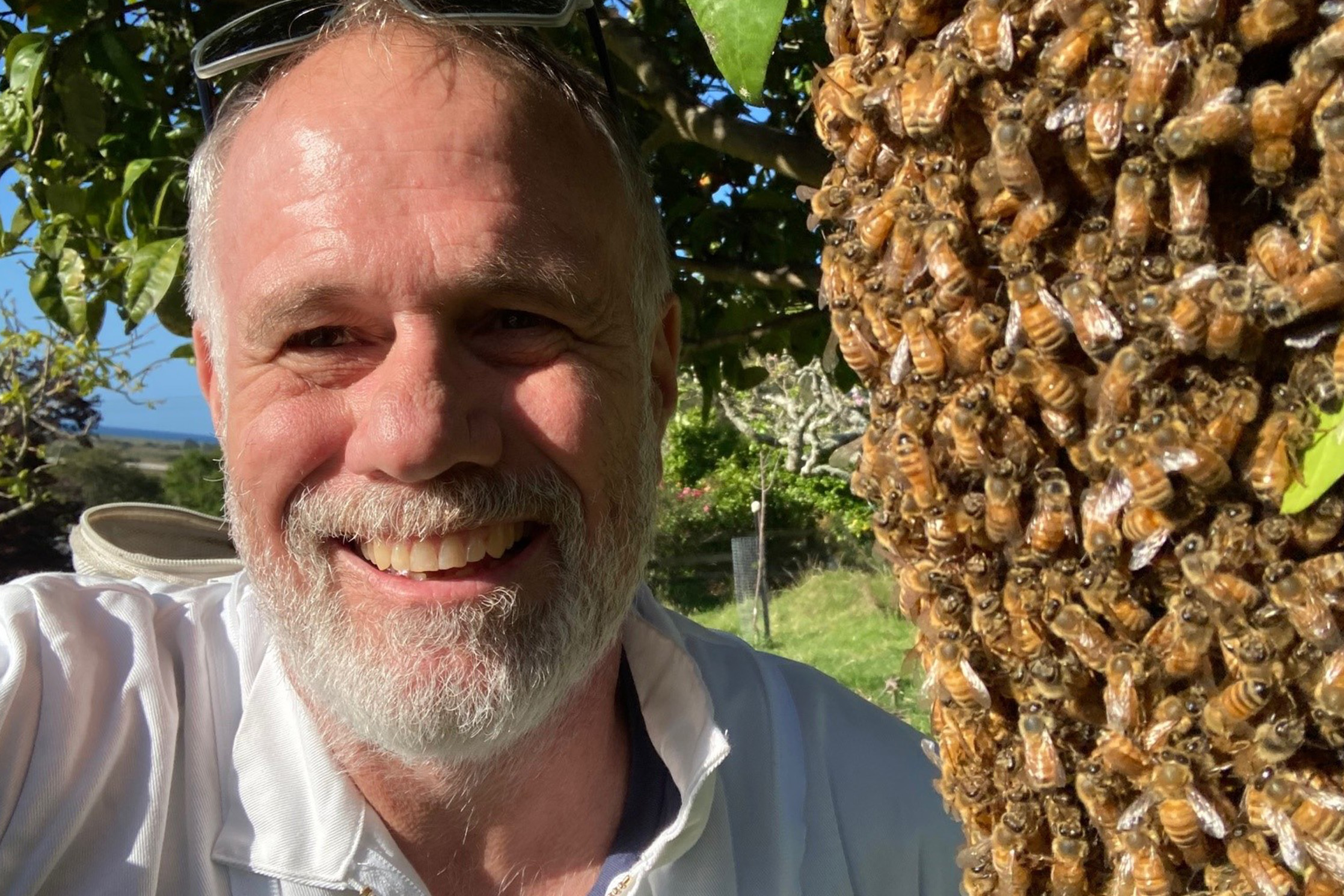 Richmond campus ‘abuzz’ with new programme | Nelson Marlborough ...