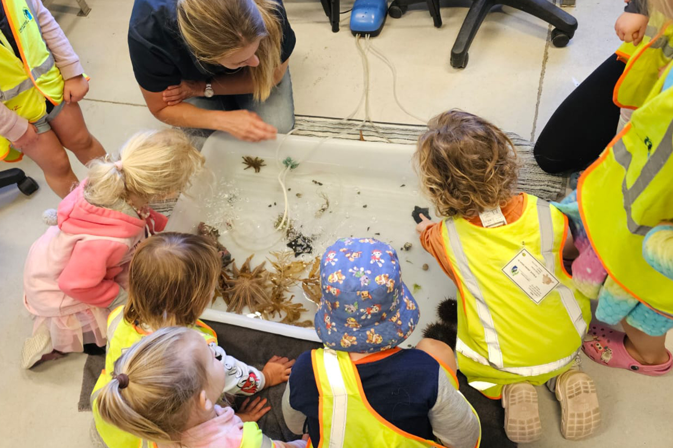 Celebrating Sea Week | Nelson Marlborough Institute of Technology (NMIT)