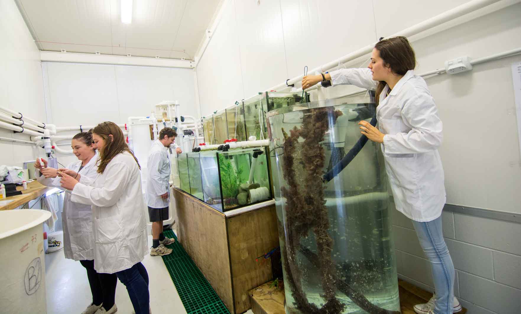 Bachelor of Aquaculture and Marine Conservation | Nelson Marlborough ...