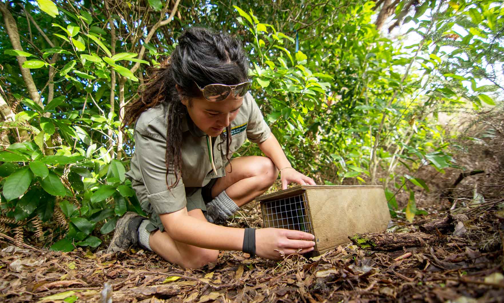 Kaitiaki Whenua – Trainee Ranger | Nelson Marlborough Institute of ...