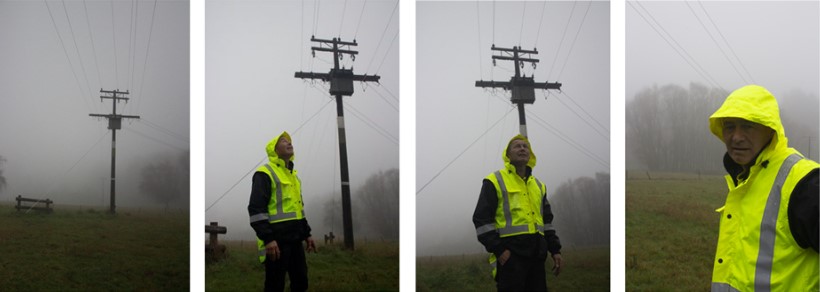 Collaboration across the motu | Nelson Marlborough Institute of ...